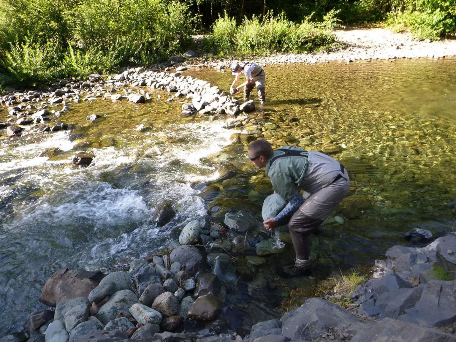 Deconstruct rock dams so brook trout can migrate and spawn!