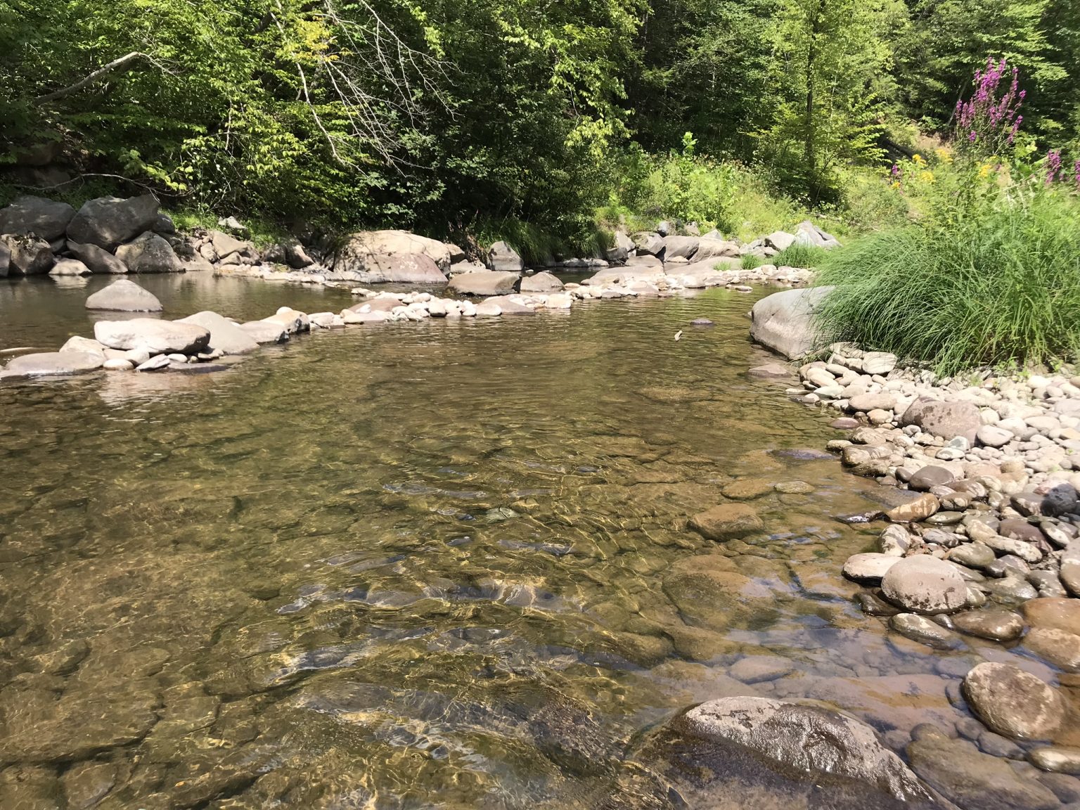 Deconstruct rock dams so brook trout can migrate and spawn!